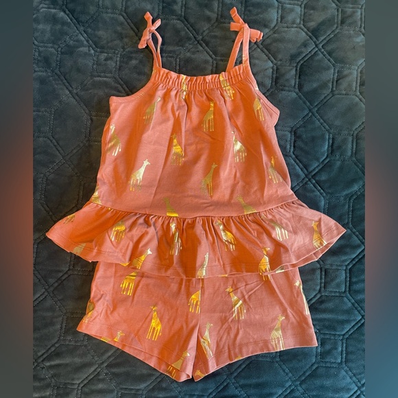 Matching Sets | Adorable Giraffe Matching Set 3t | Poshmark